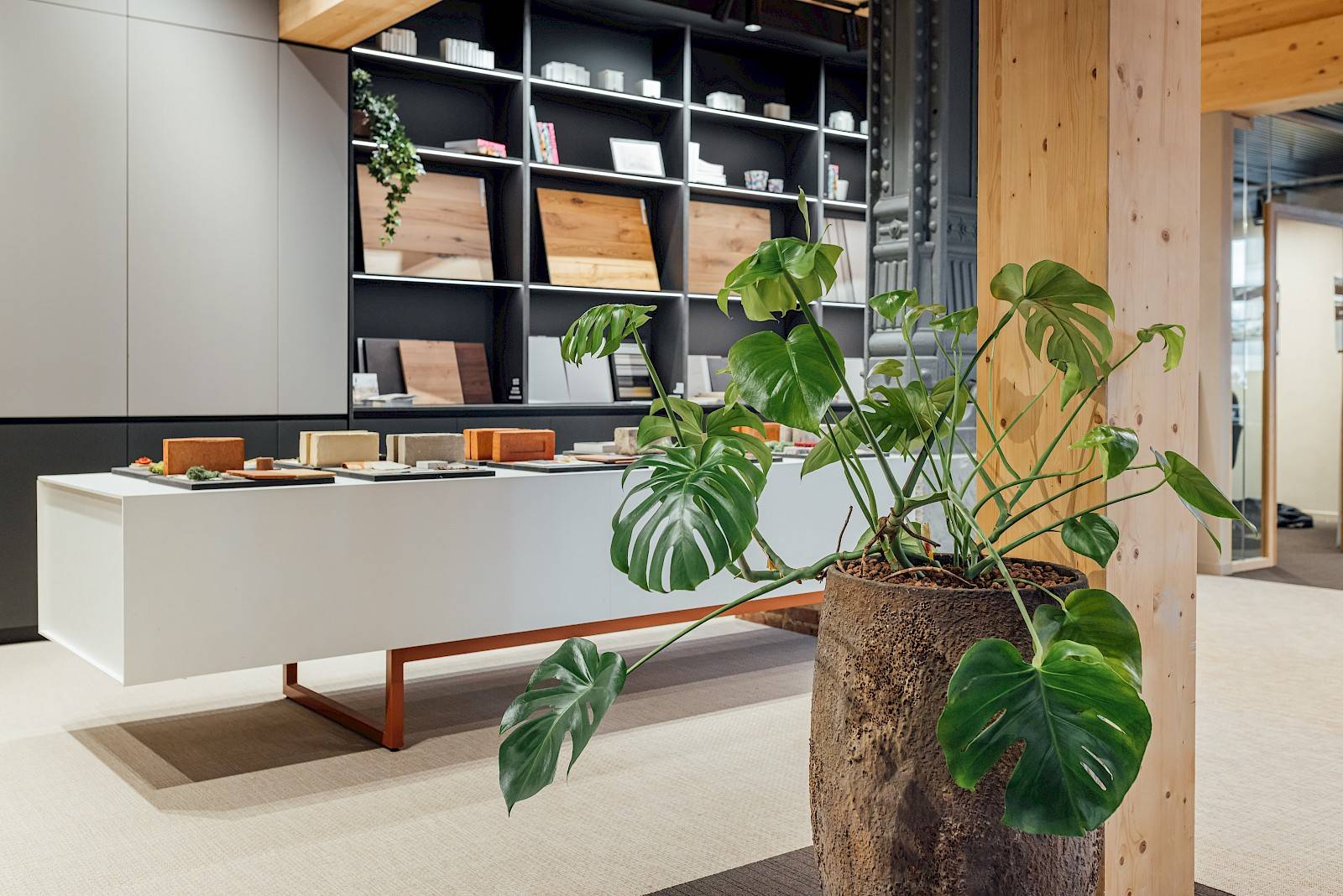 Office plants for a greenery office - Nature at Work